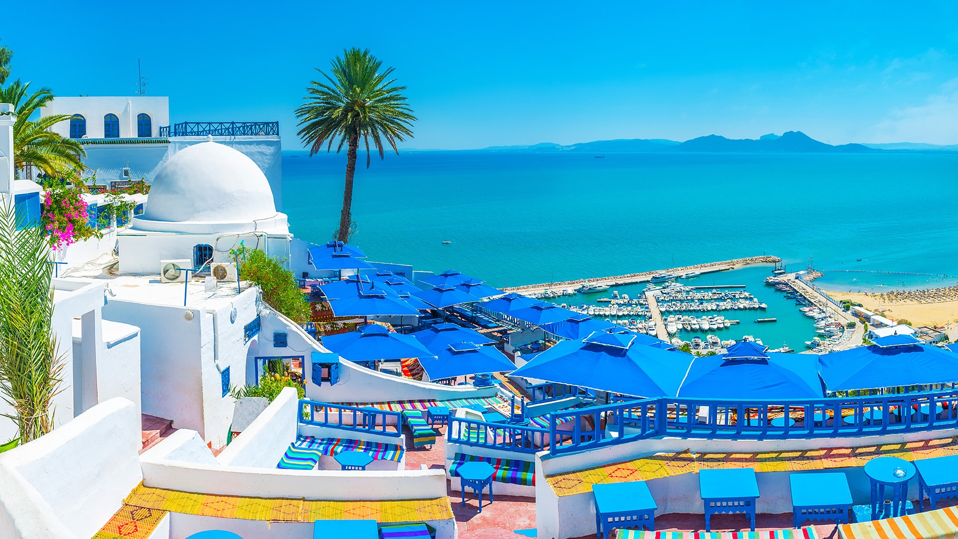 Kings Service Tours – Explore Tunisia’s top 2025 Wonders from Sahara to sea